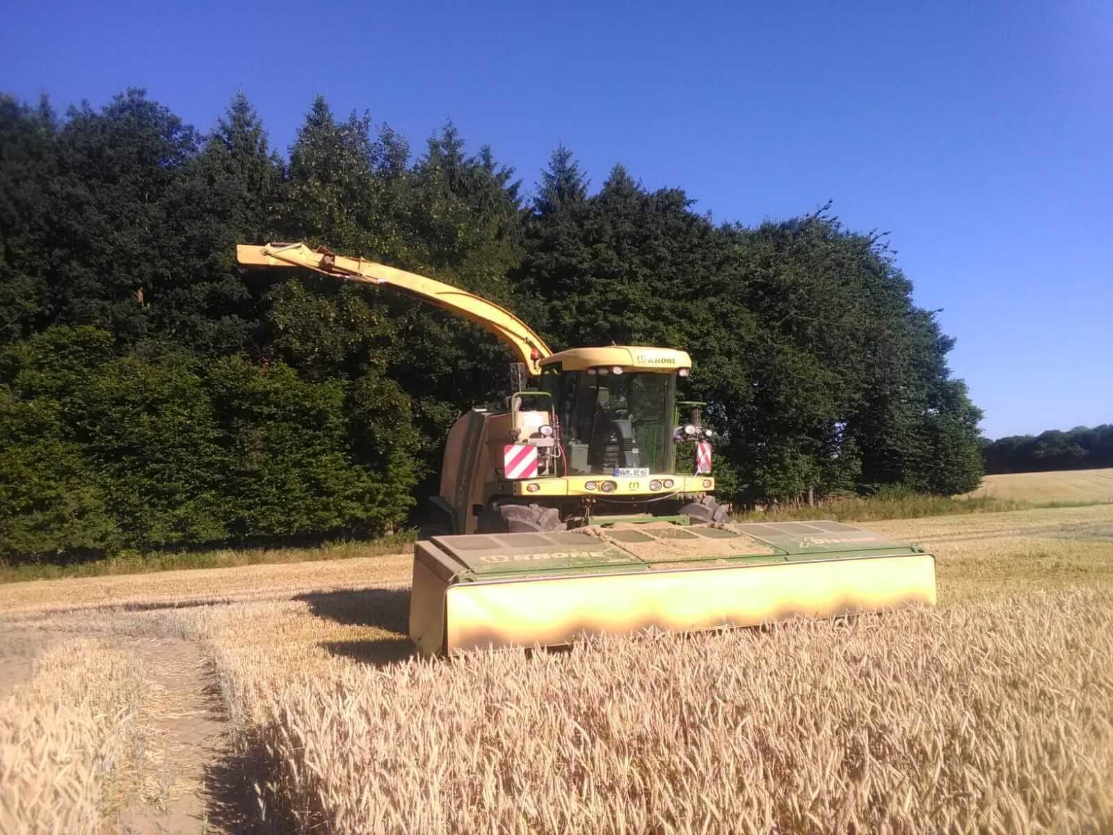 HAMESTER LU - Ganzpflanzensilage